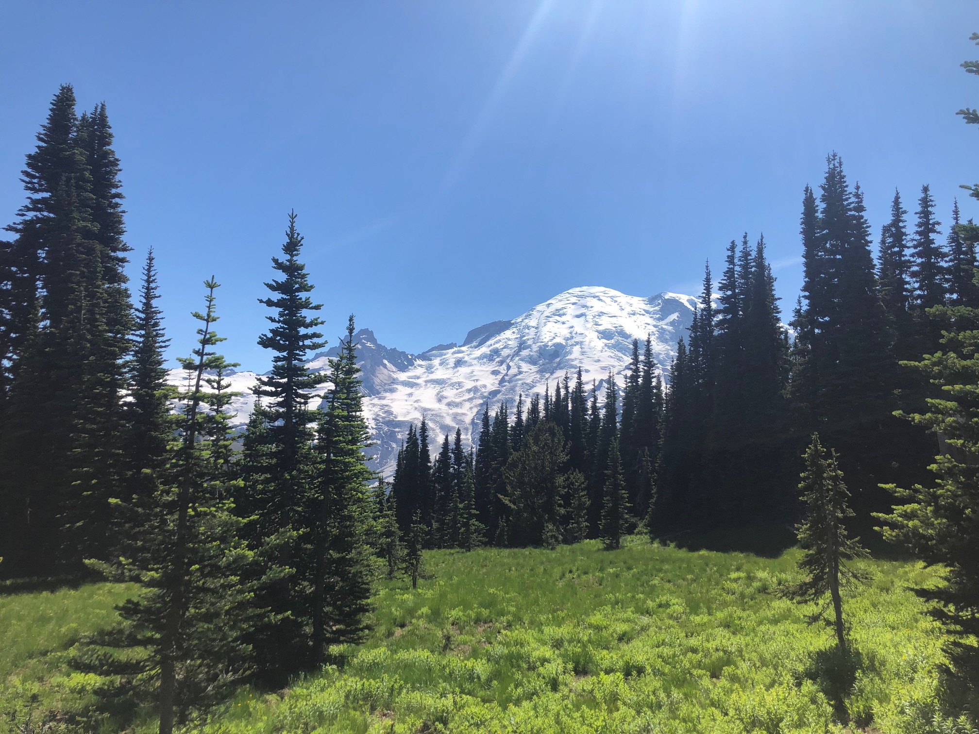Mount Rainier Summer Hiking: Photo Gallery - Camper Outpost