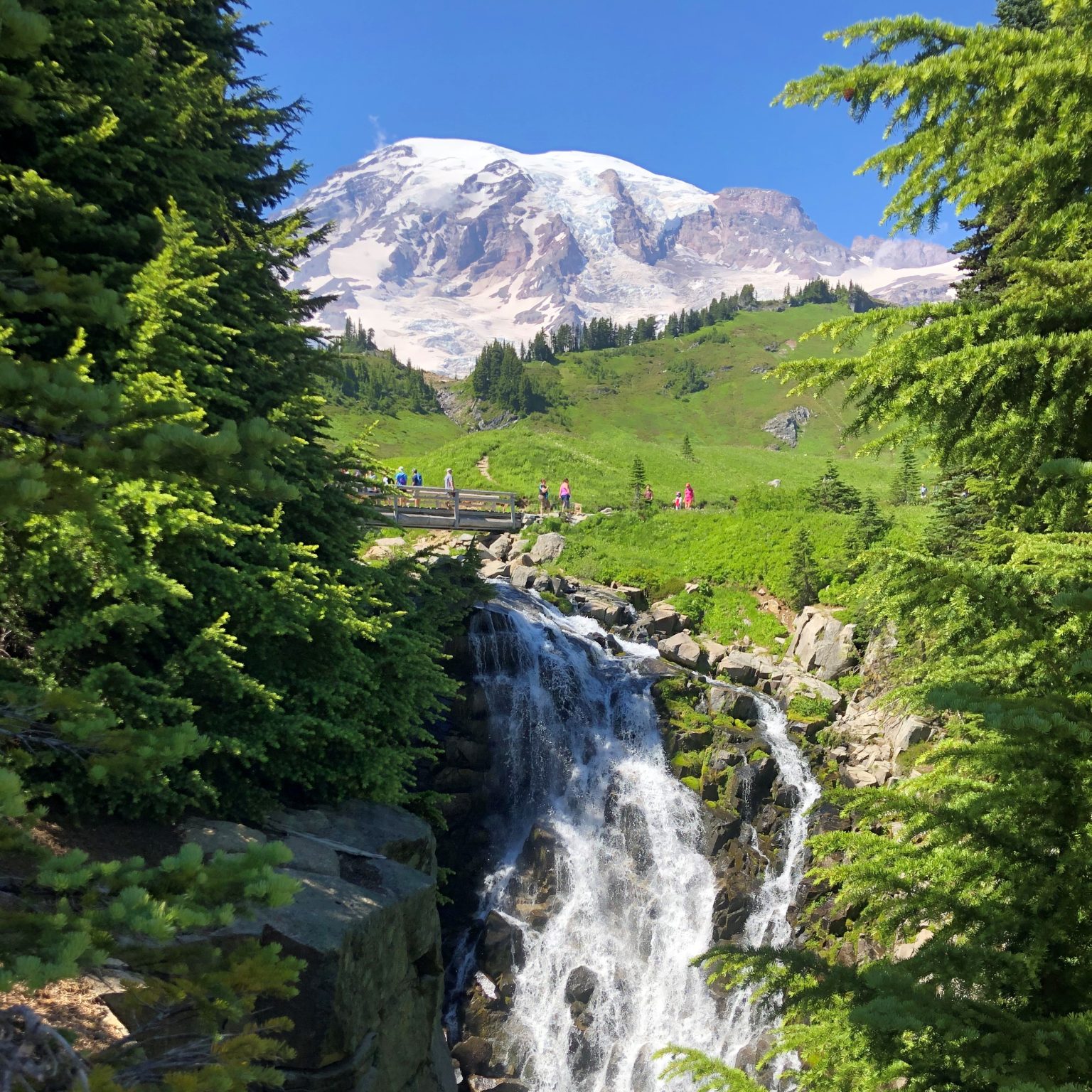 Mount Rainier Summer Hiking: Photo Gallery - Camper Outpost