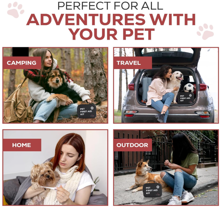 Glamping with Pets: Pet-Friendly Luxury Camping Destinations - Camper ...