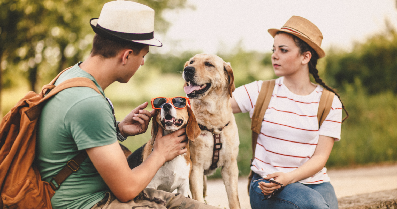 Glamping with Pets: Pet-Friendly Luxury Camping Destinations - Camper ...