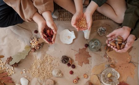 Foraging Basics for Identifying Edible Plants on Your Camping Trip ...