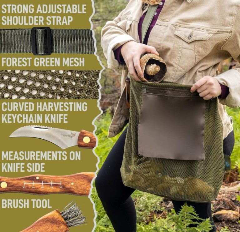 Foraging Basics for Identifying Edible Plants on Your Camping Trip ...