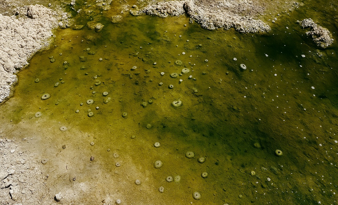 Stay Hydrated, Stay Alive—Master the Art of Wilderness Water Survival ...